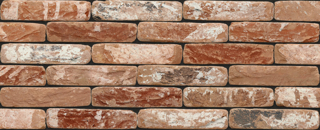 Helena | Kule Concept