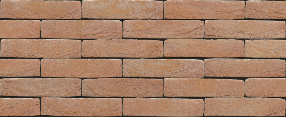 Rosado | Kule Concept