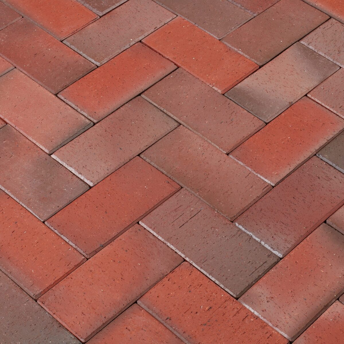 Balkum | Kule Concept